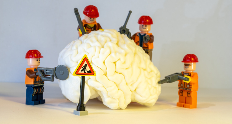 Brain under Construction - Potenzialentwickler